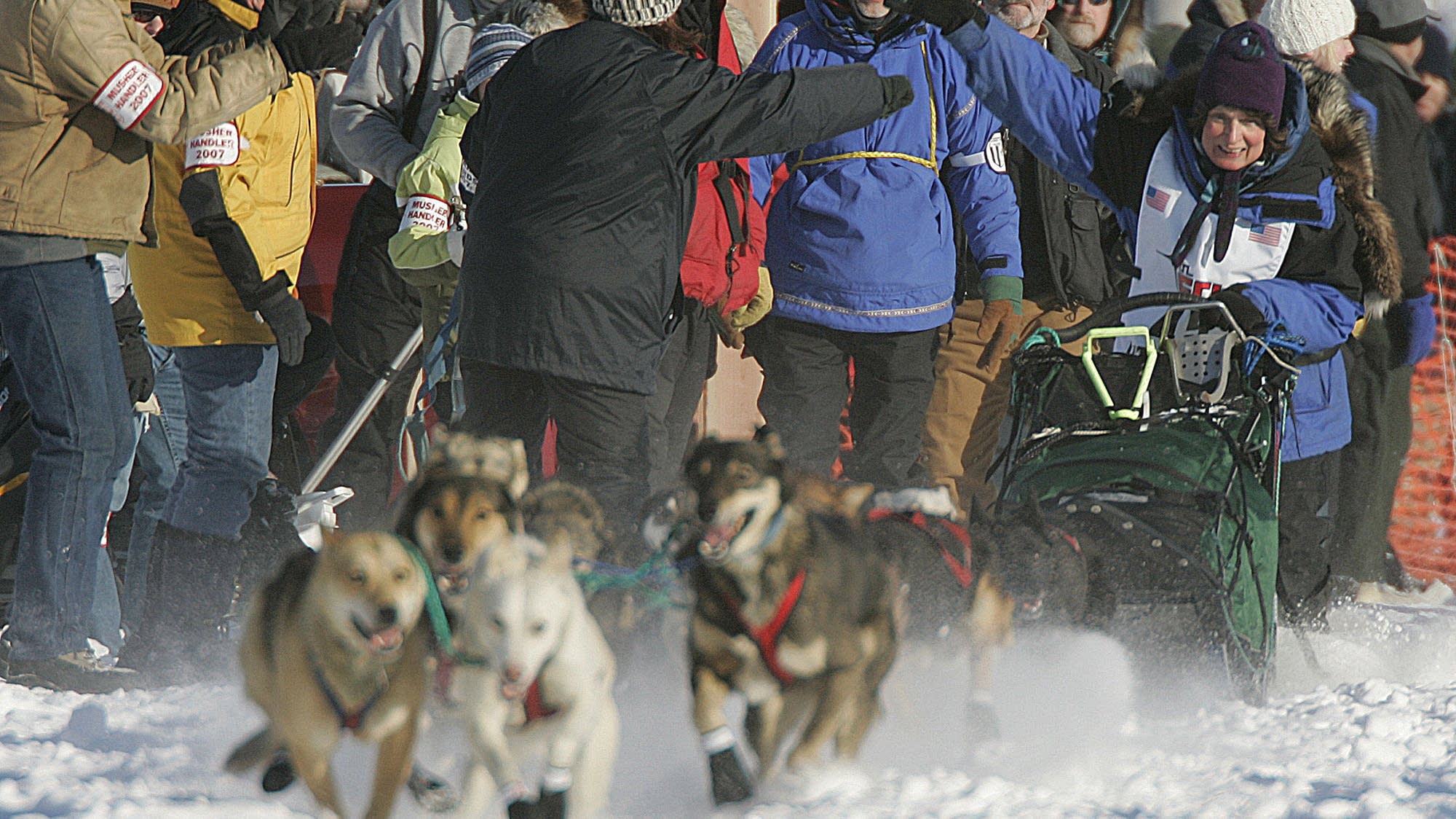 Last Iditarod hurrah for 67-year-old Minnesota musher | MPR News