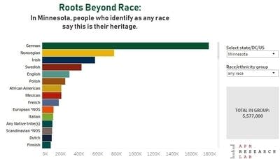 Roots Beyond Race: Take a deep dive into all Minnesota's heritage ...