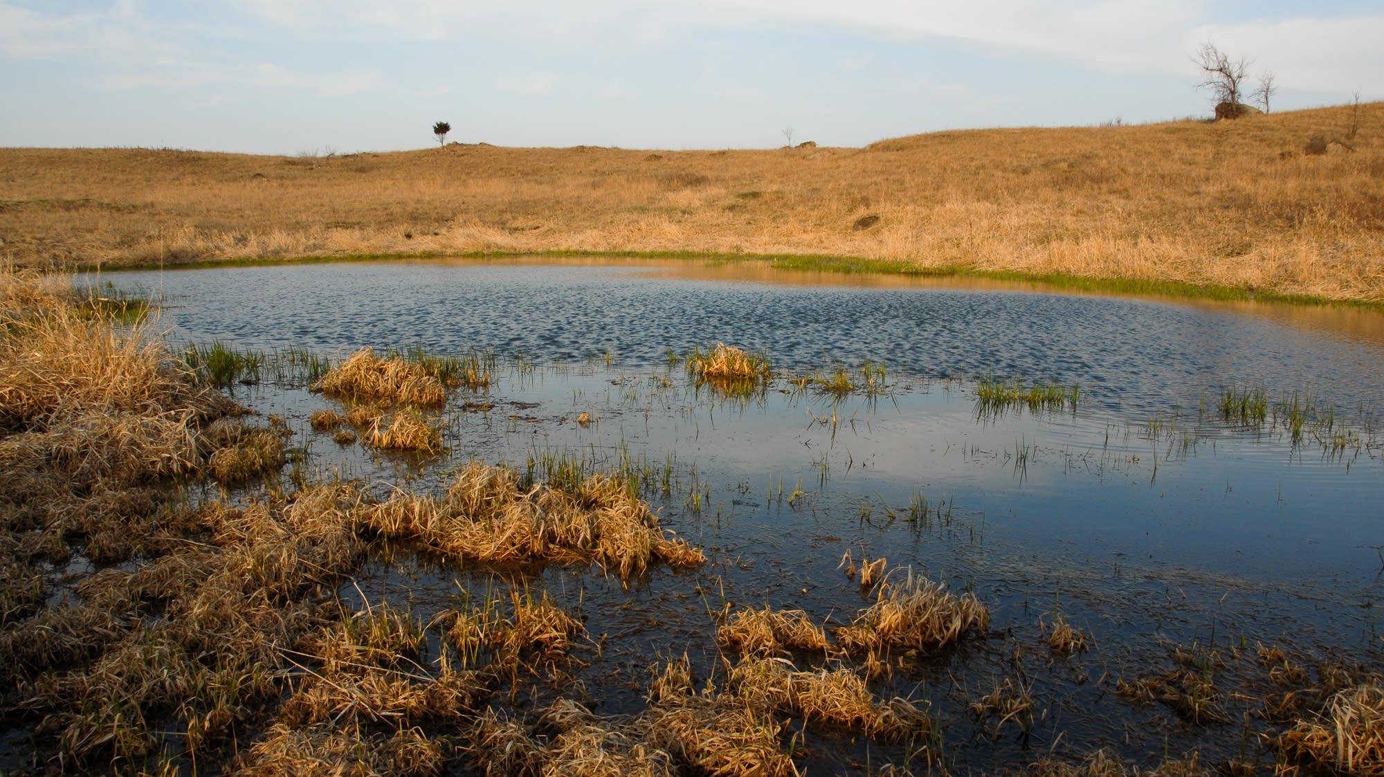 Supporters worry mining company’s bankruptcy filing could leave fate of ...