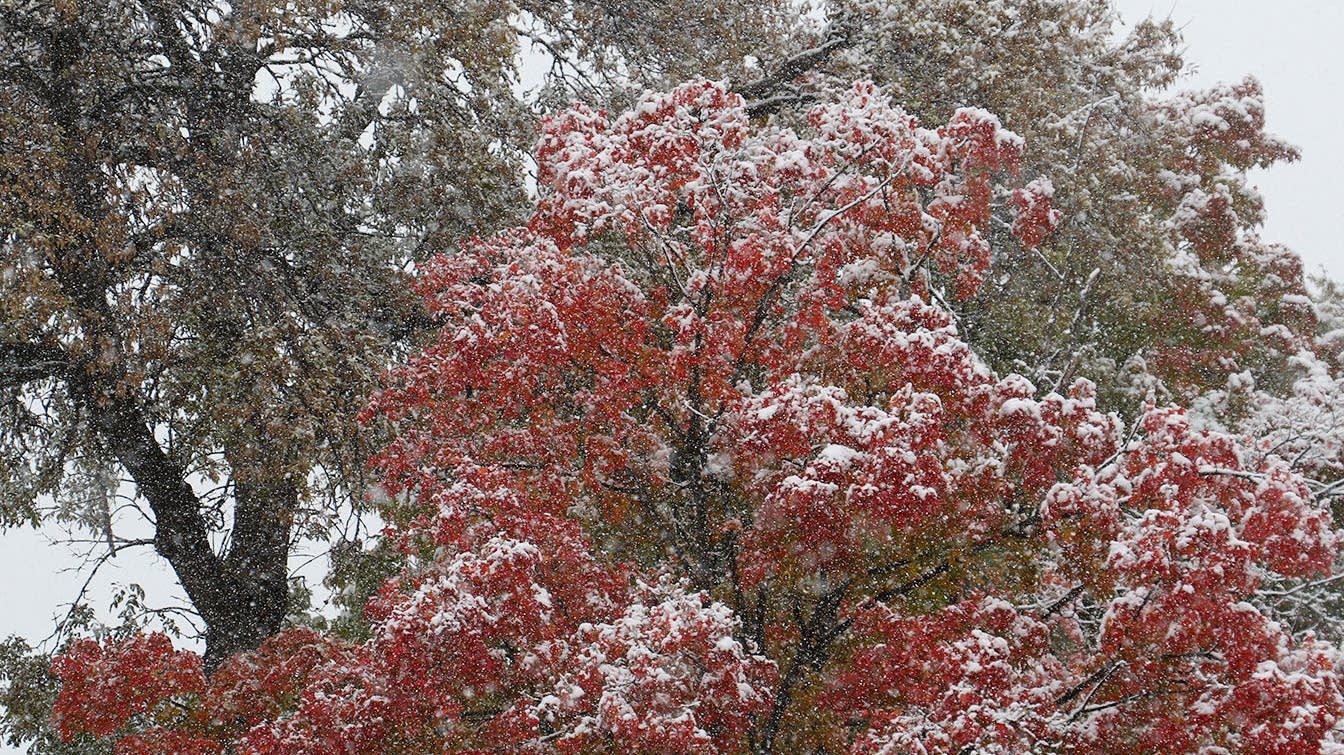 Weekend weather: Cold; snowflakes possible Saturday afternoon, evening ...