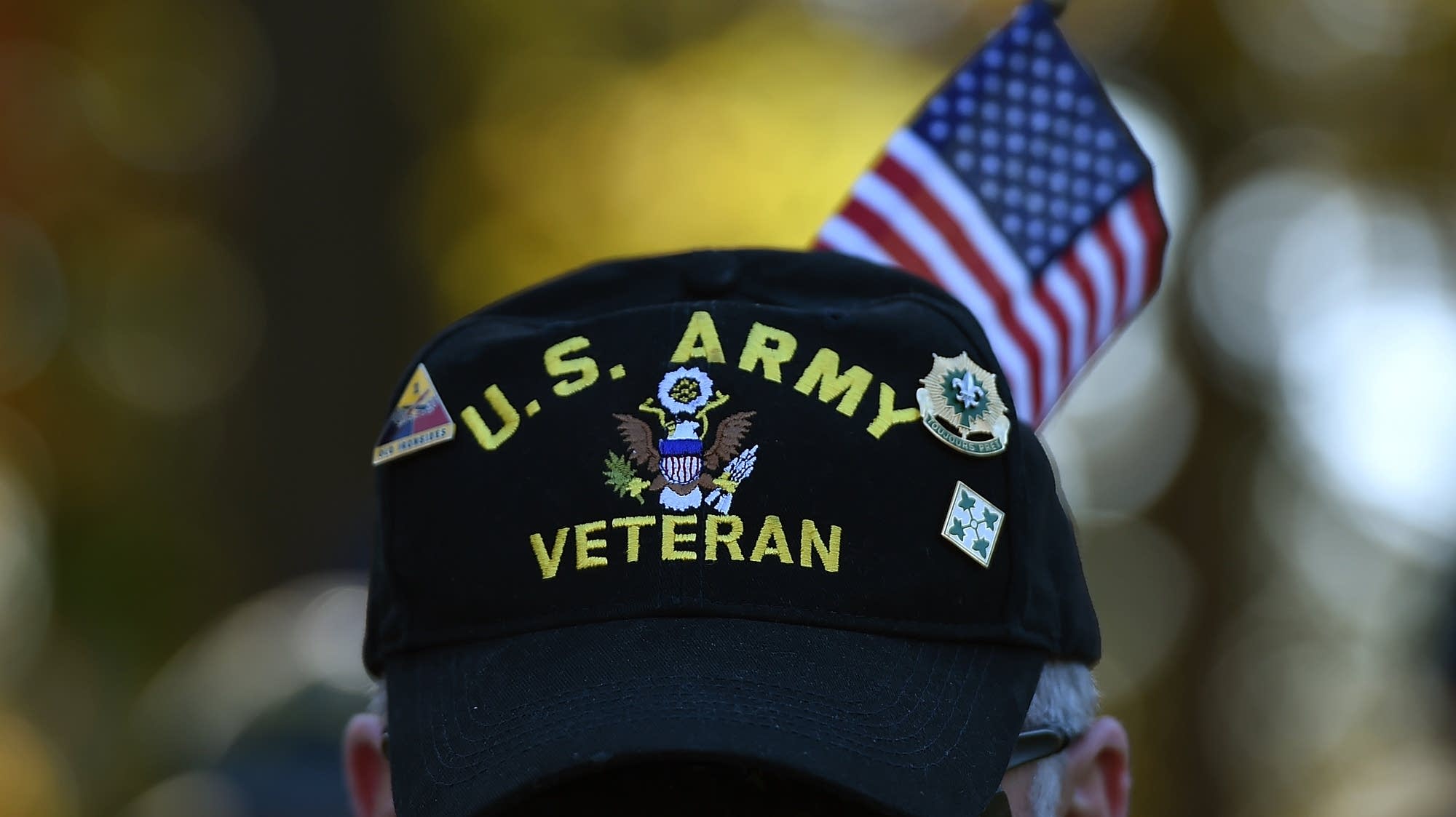 Veterans and the vote | MPR News