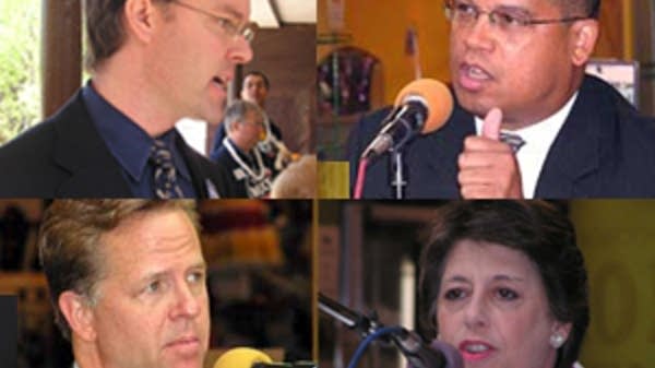 5th District DFL congressional candidates debate | MPR News
