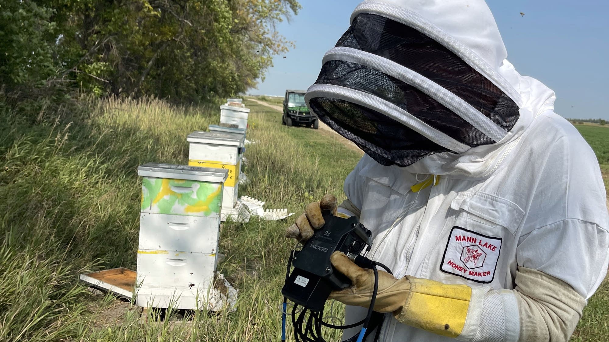 Minnesota composer uses bees, butterflies to make music | MPR News
