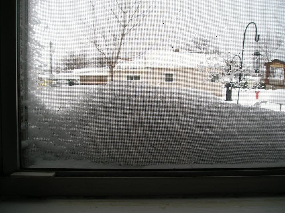 Slideshow: A winter snowstorm | MPR News