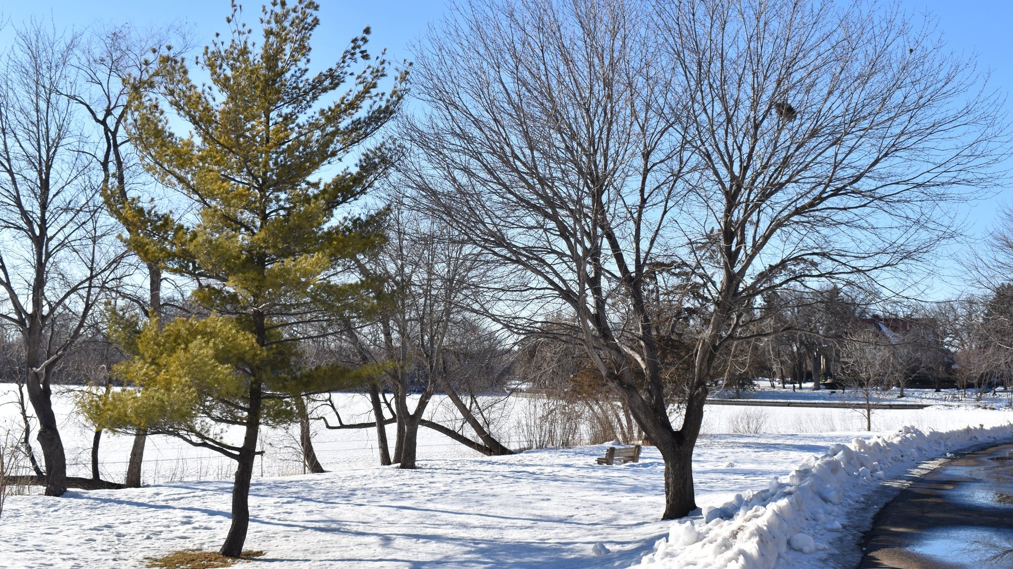 Weekend weather: Mild temps; Saturday will be the brightest day | MPR News