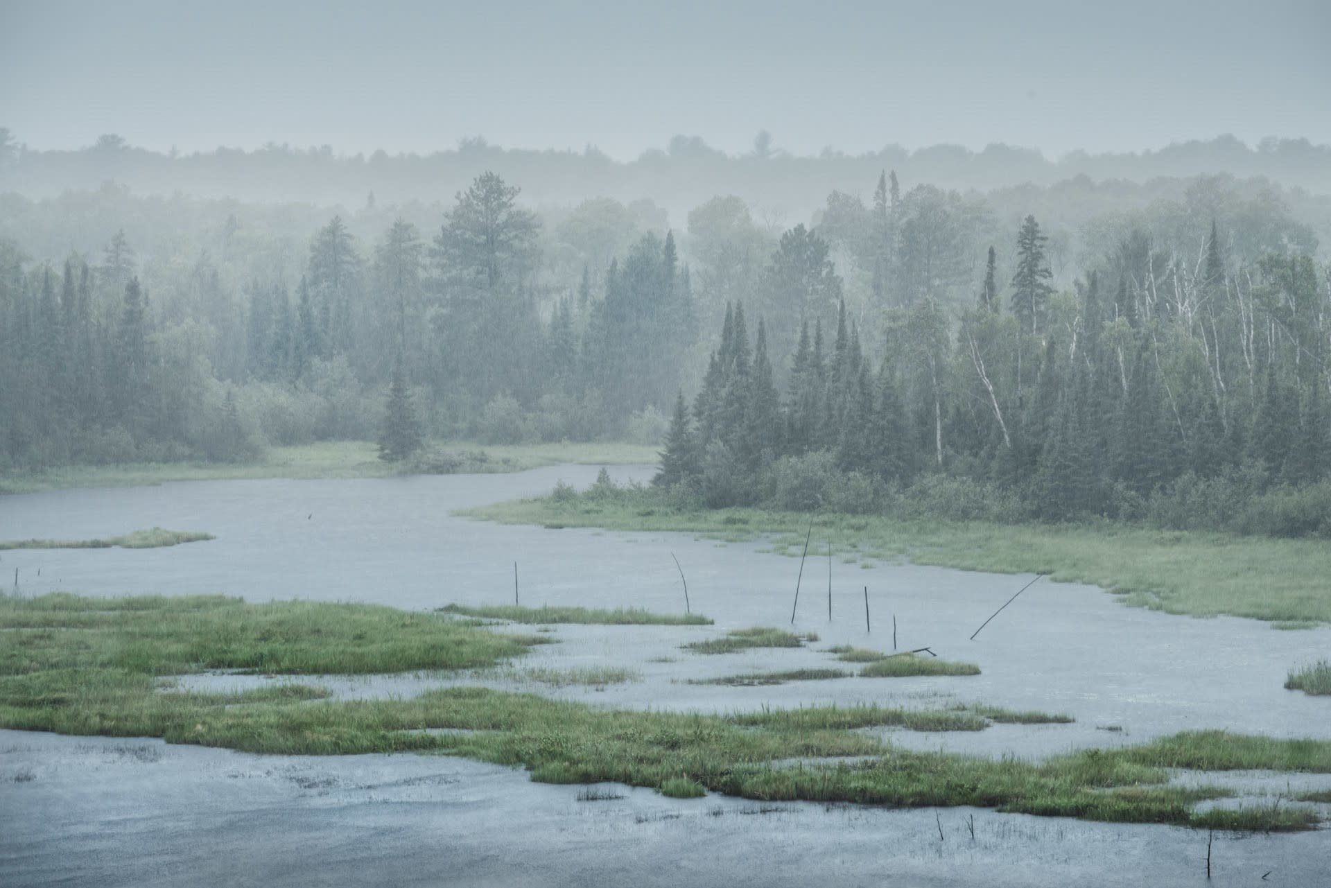 Jim Brandenburg's '93 Days of Spring' | MPR News