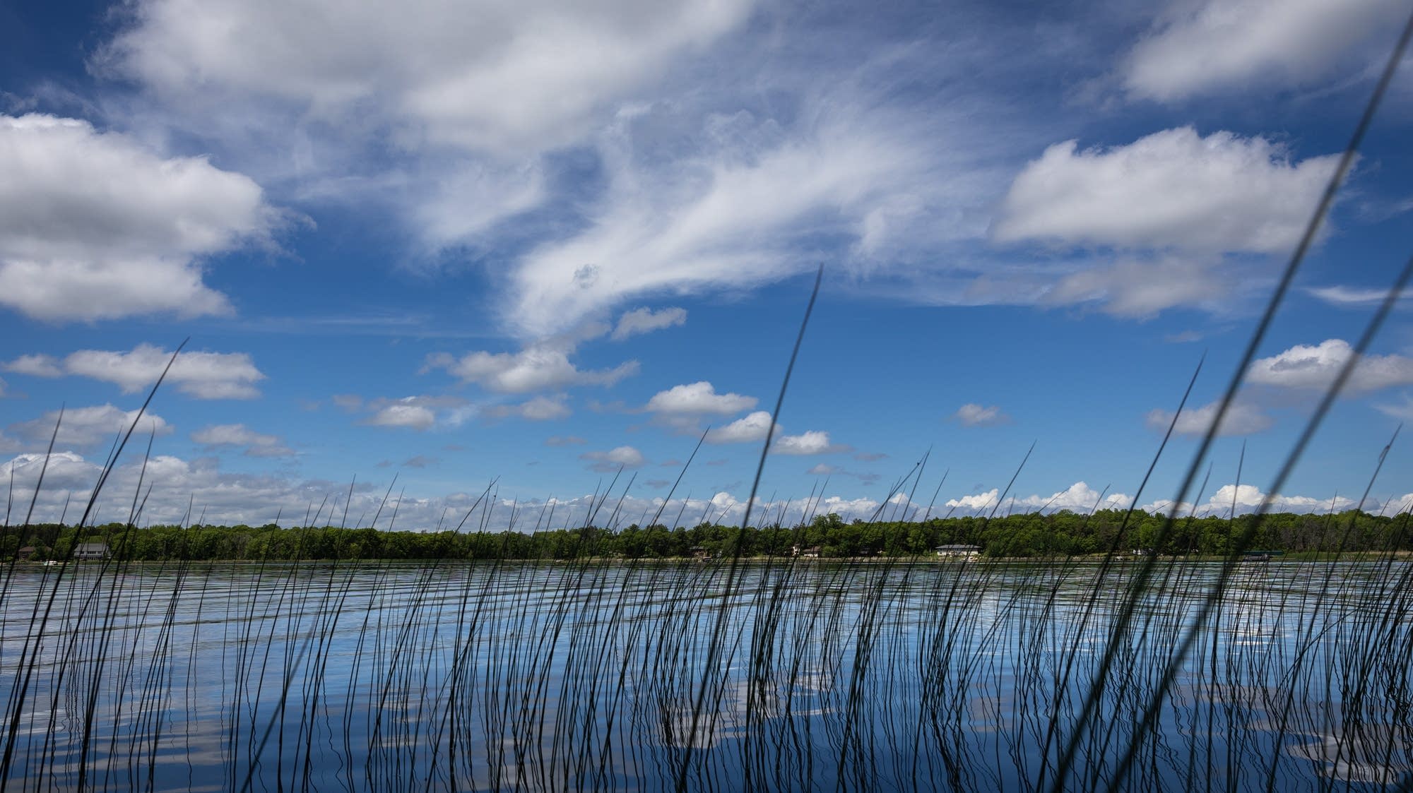 Rain to continue through June with warm temperatures | MPR News