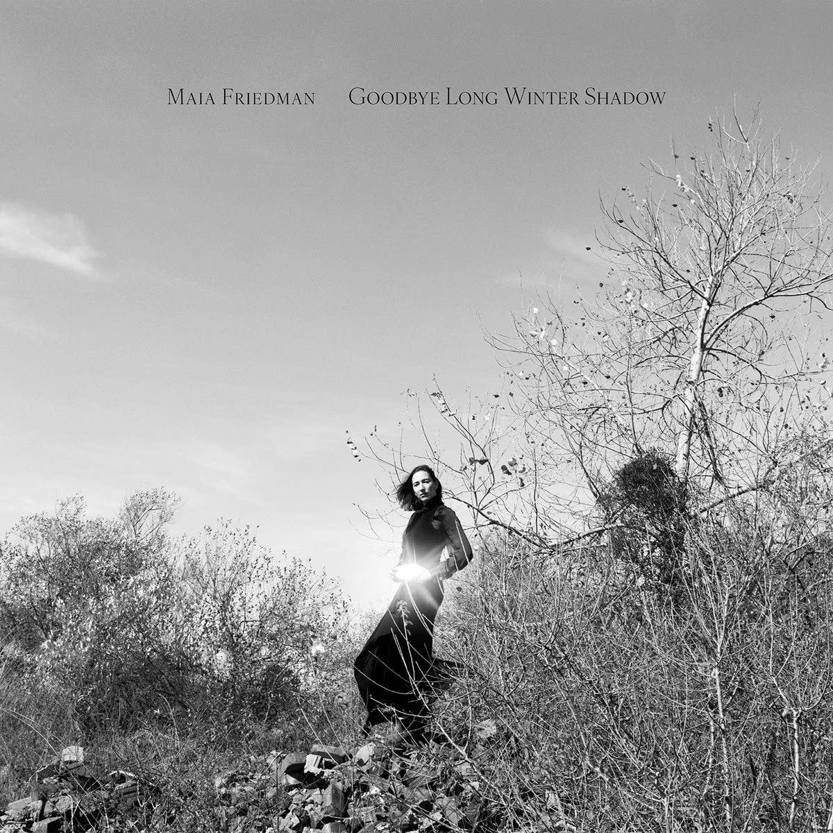 Maia Friedman - New Flowers