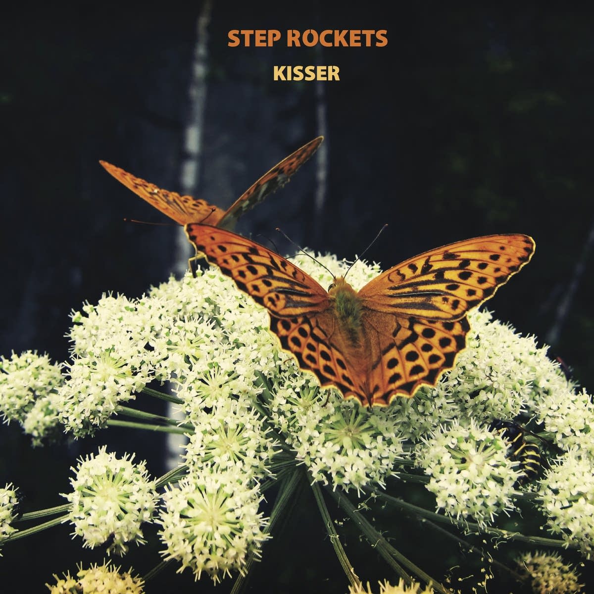 Step Rockets - Kisser