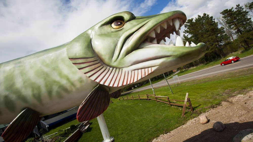 DNR researchers hope iFish app nets loads of data | MPR News