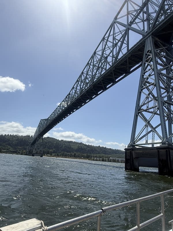States spend to reinforce at-risk bridges after Baltimore bridge collapse