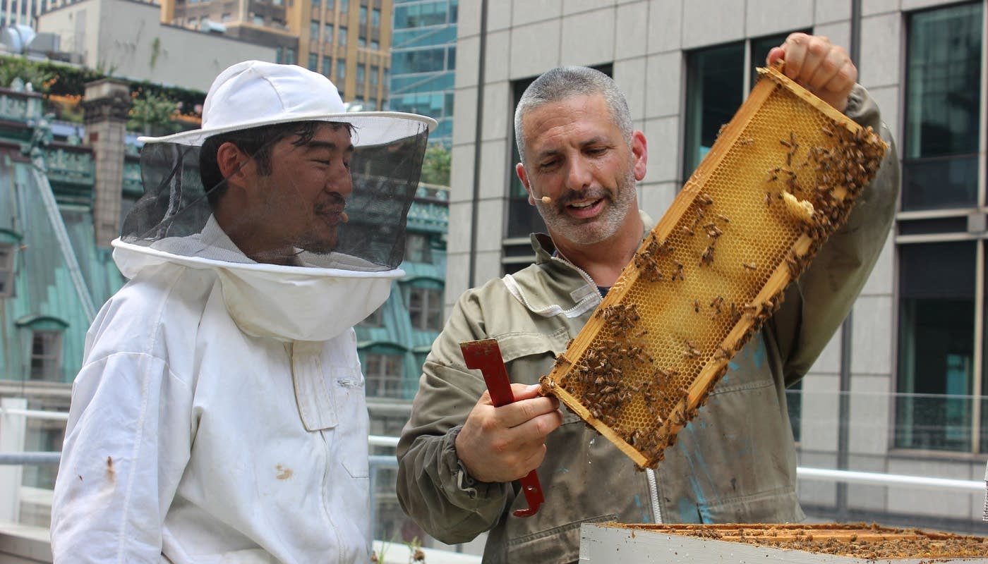 Andrew Coté takes Francis Lam inside the exciting world of urban ...