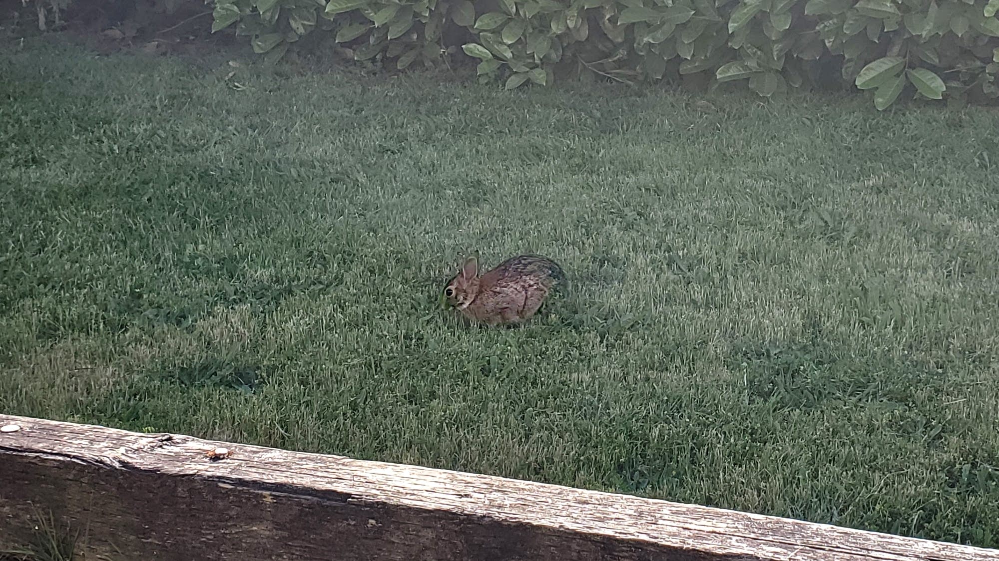 Too Beautiful To Live | Too Beautiful To Live