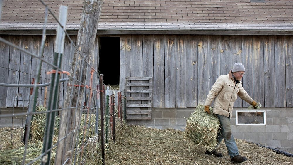 For young people, getting into farming can be a challenge | MPR News