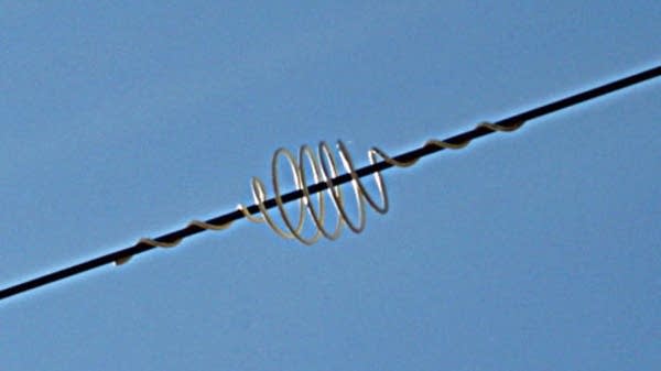 Diverters should prevent birds from hitting power lines | MPR News