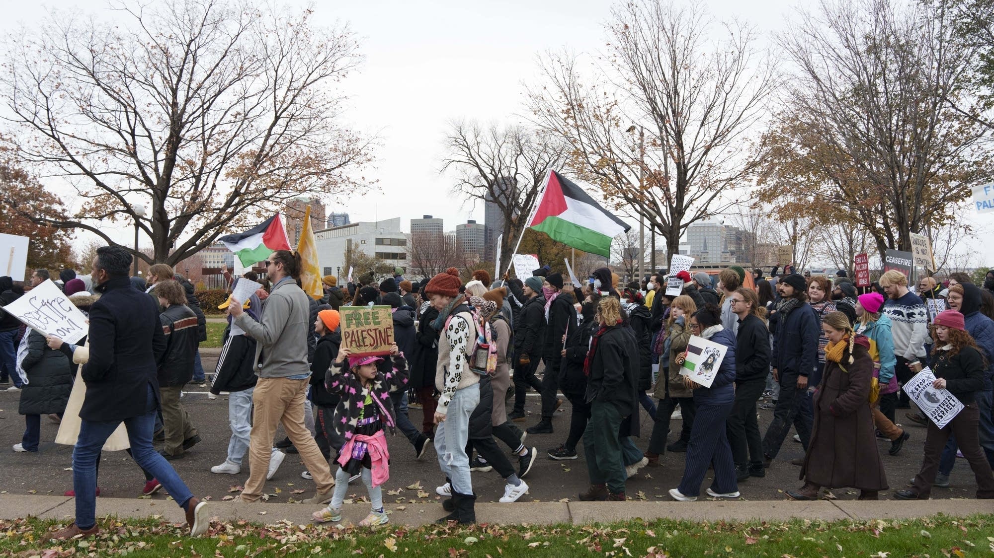 March to Capitol to call for cease-fire in Gaza | MPR News