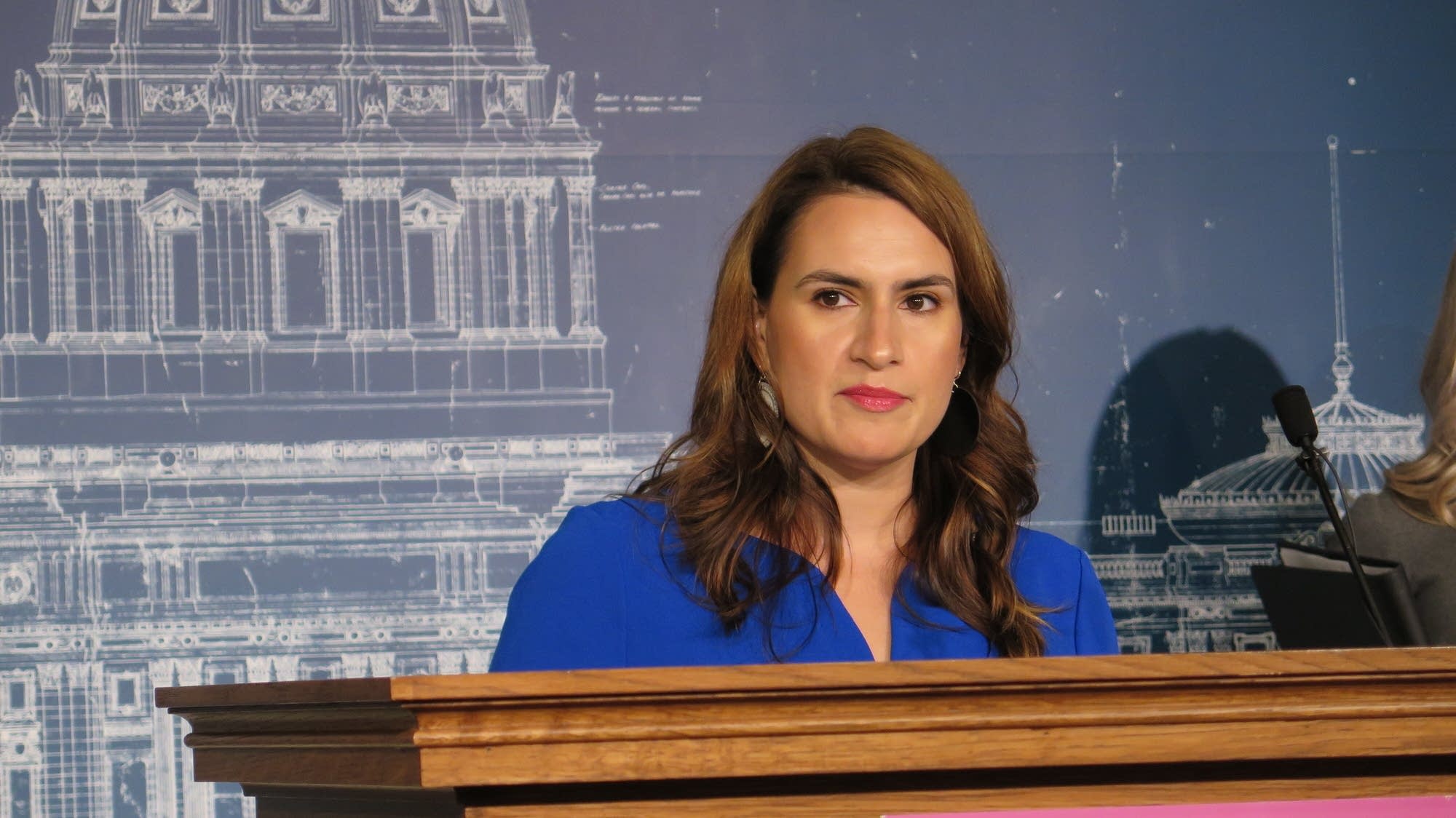 Flanagan targets Birk remarks on abortion and rape | MPR News