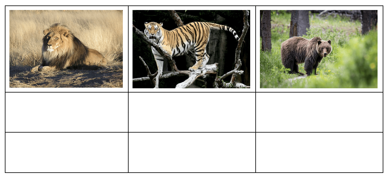 Themed Lesson: Lions and Tigers and Bears, Oh My! - Class Notes from ...