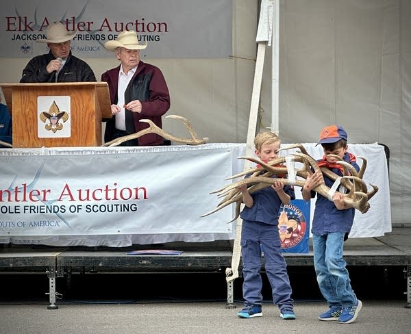Wyoming's elk antler market: from decor to dog chews