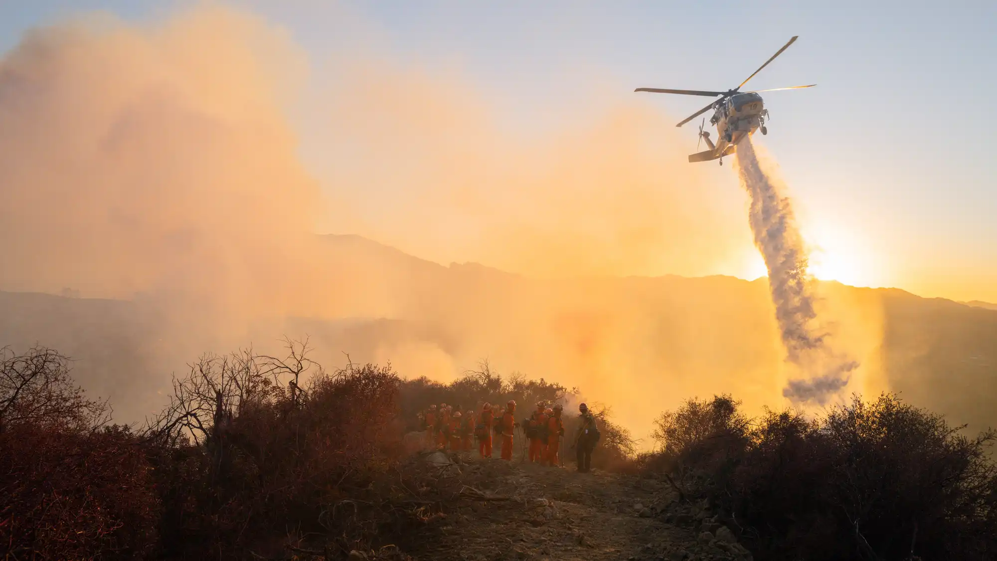 Donors need protection too as wildfire misinformation and scams emerge