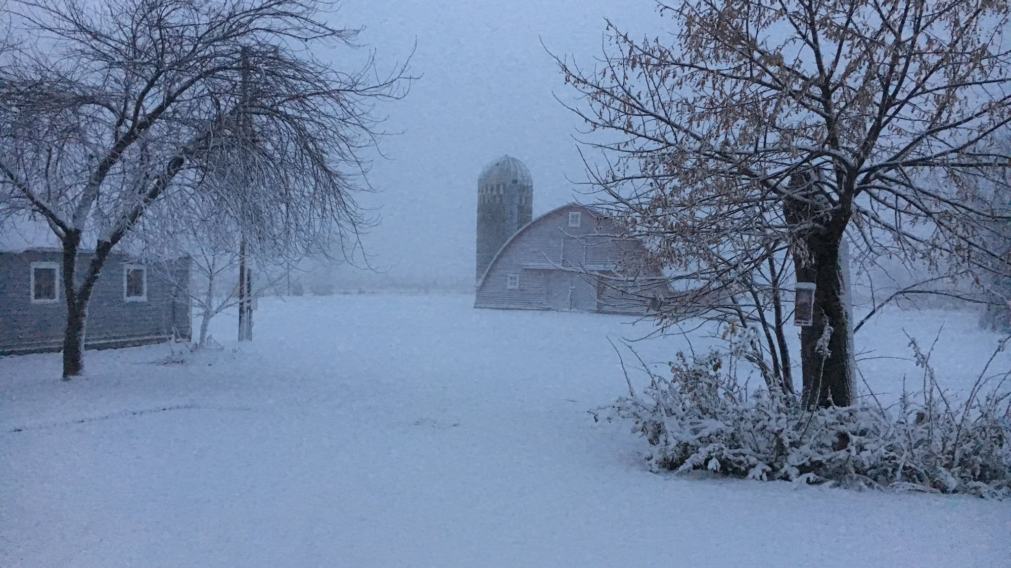 Winter is here: Your guide to the season's first snow | MPR News