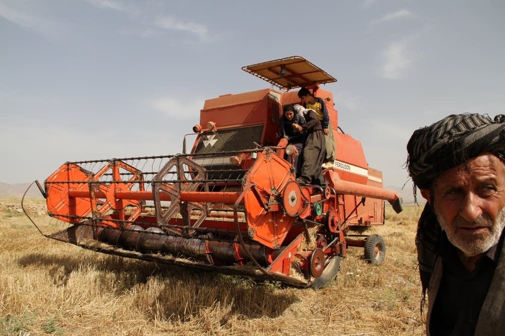 The struggle to make farming cool among Iraqi youth | The Splendid Table