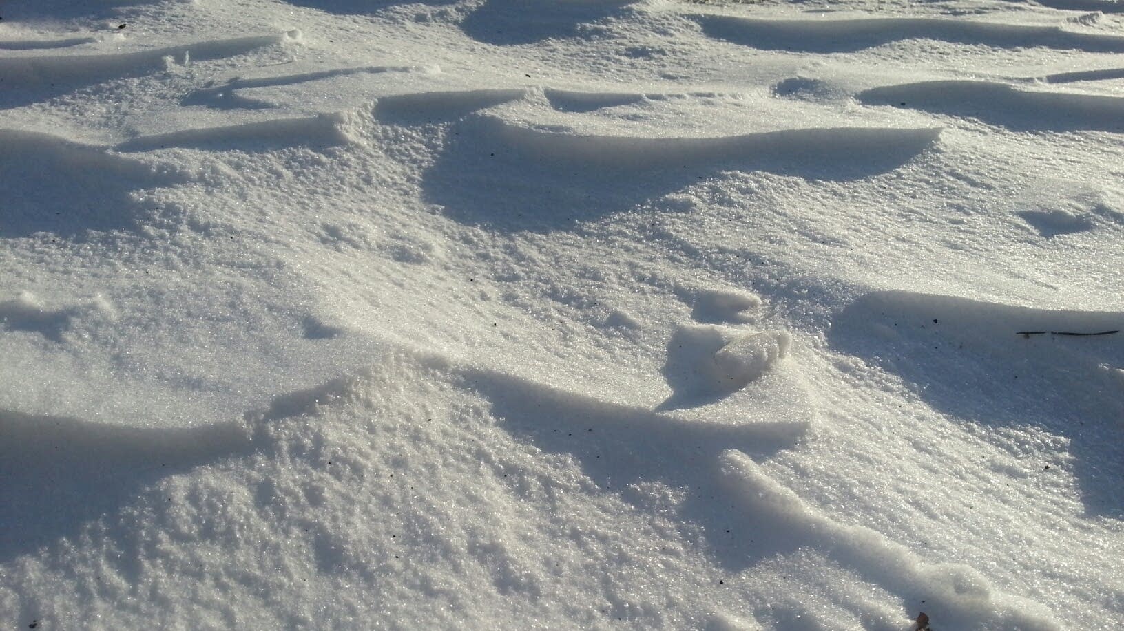 Arctic weekend ahead, January thaw next weekend | MPR News