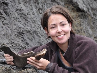 Ancient DNA sheds light on the past | MPR News