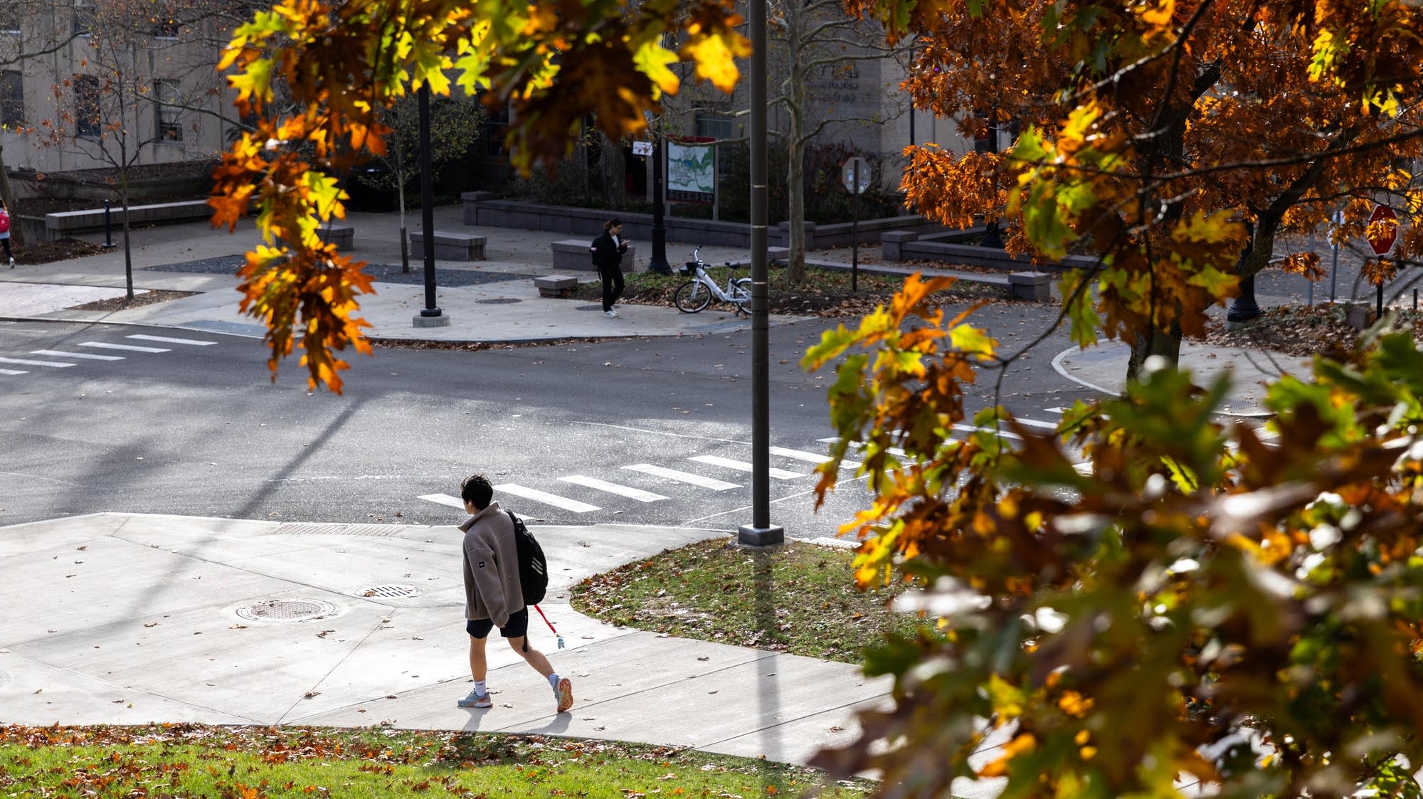 When students let an economist pick their college