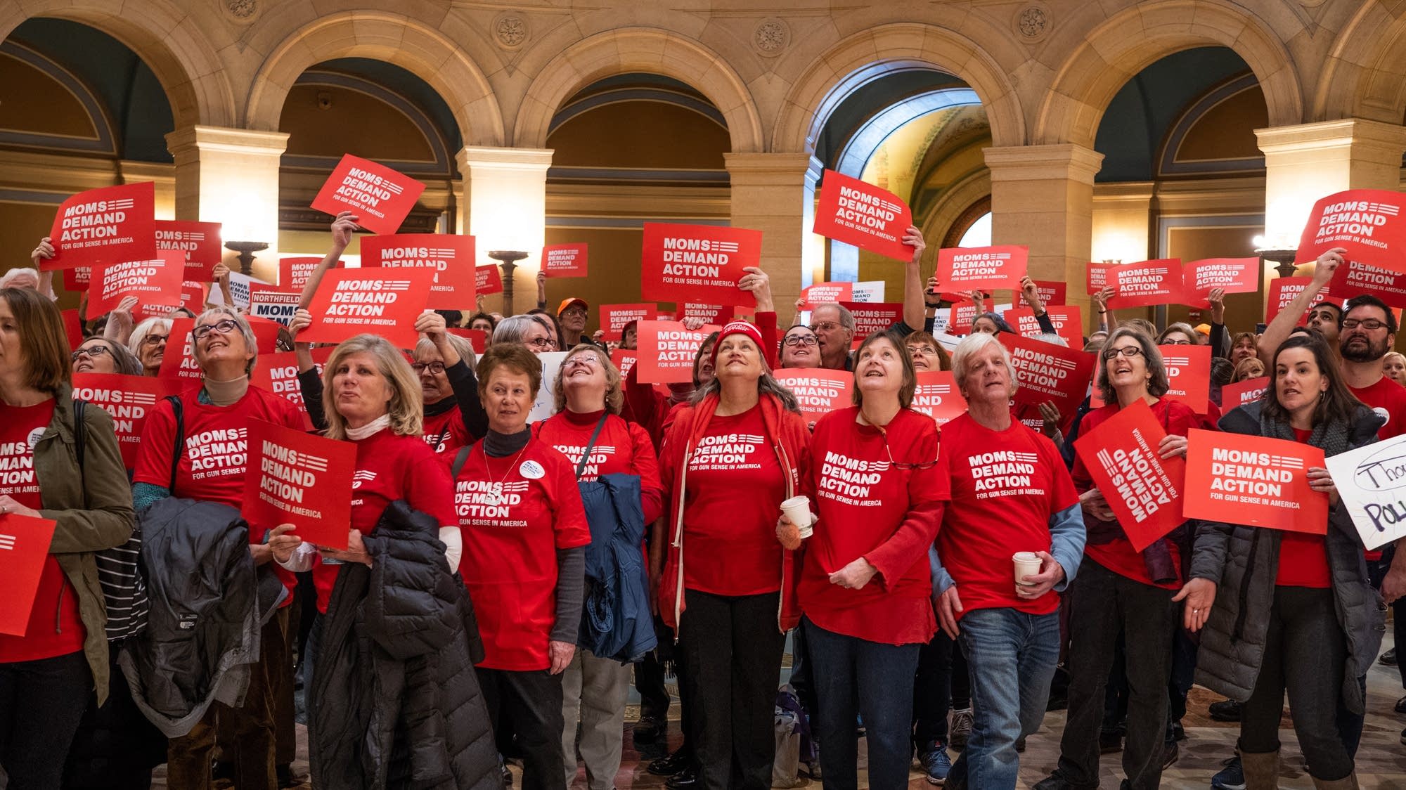 Gun safety group plans to spend $1M to flip MN Senate | MPR News