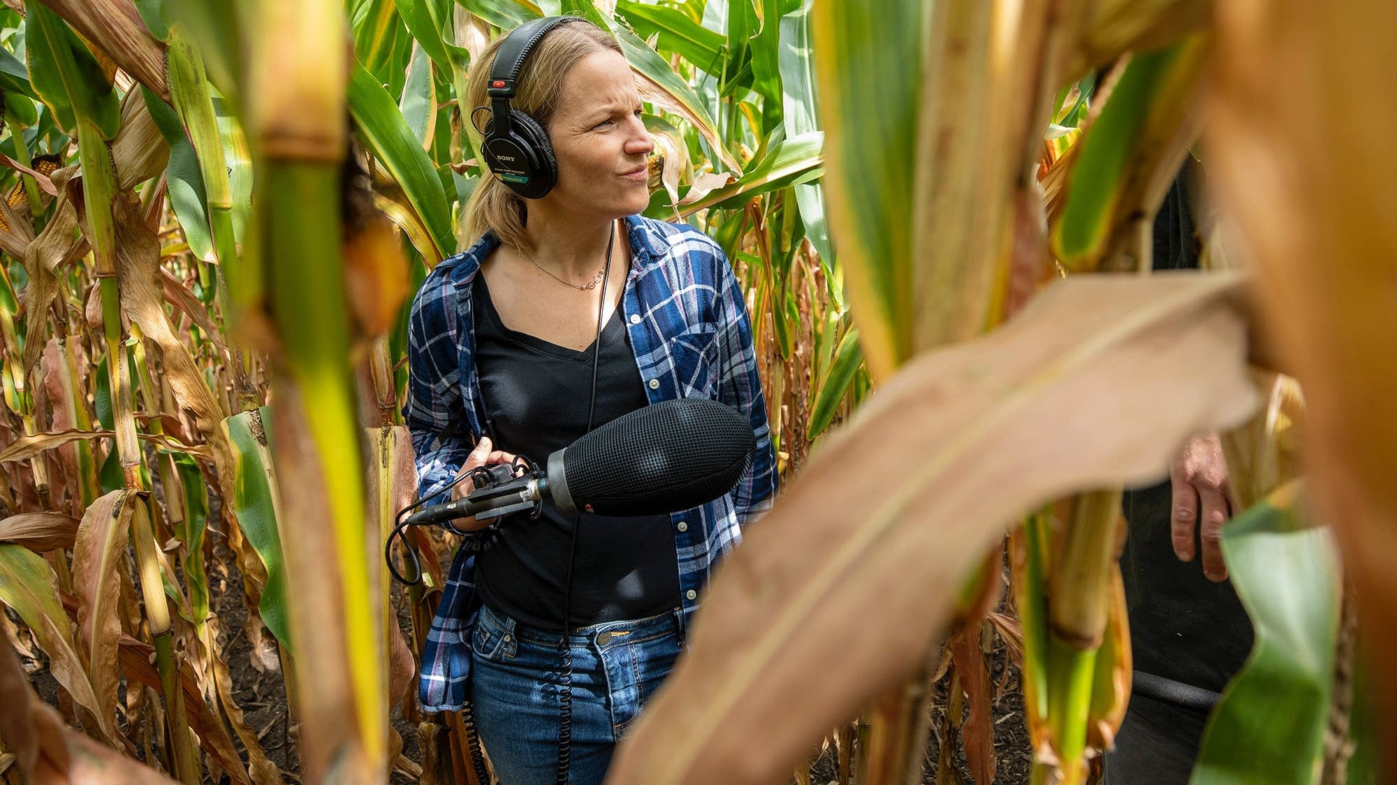 Meet MPR News reporter Kirsti Marohn | MPR News