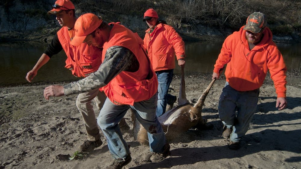 Minnesota DNR reports successful firearms deer hunting opening weekend ...