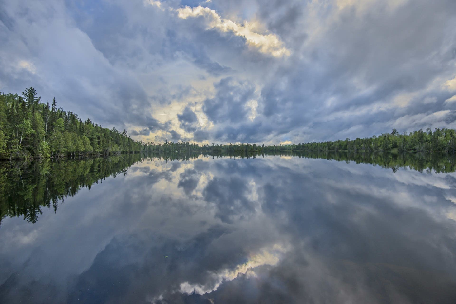 Jim Brandenburg's '93 Days of Spring' | MPR News