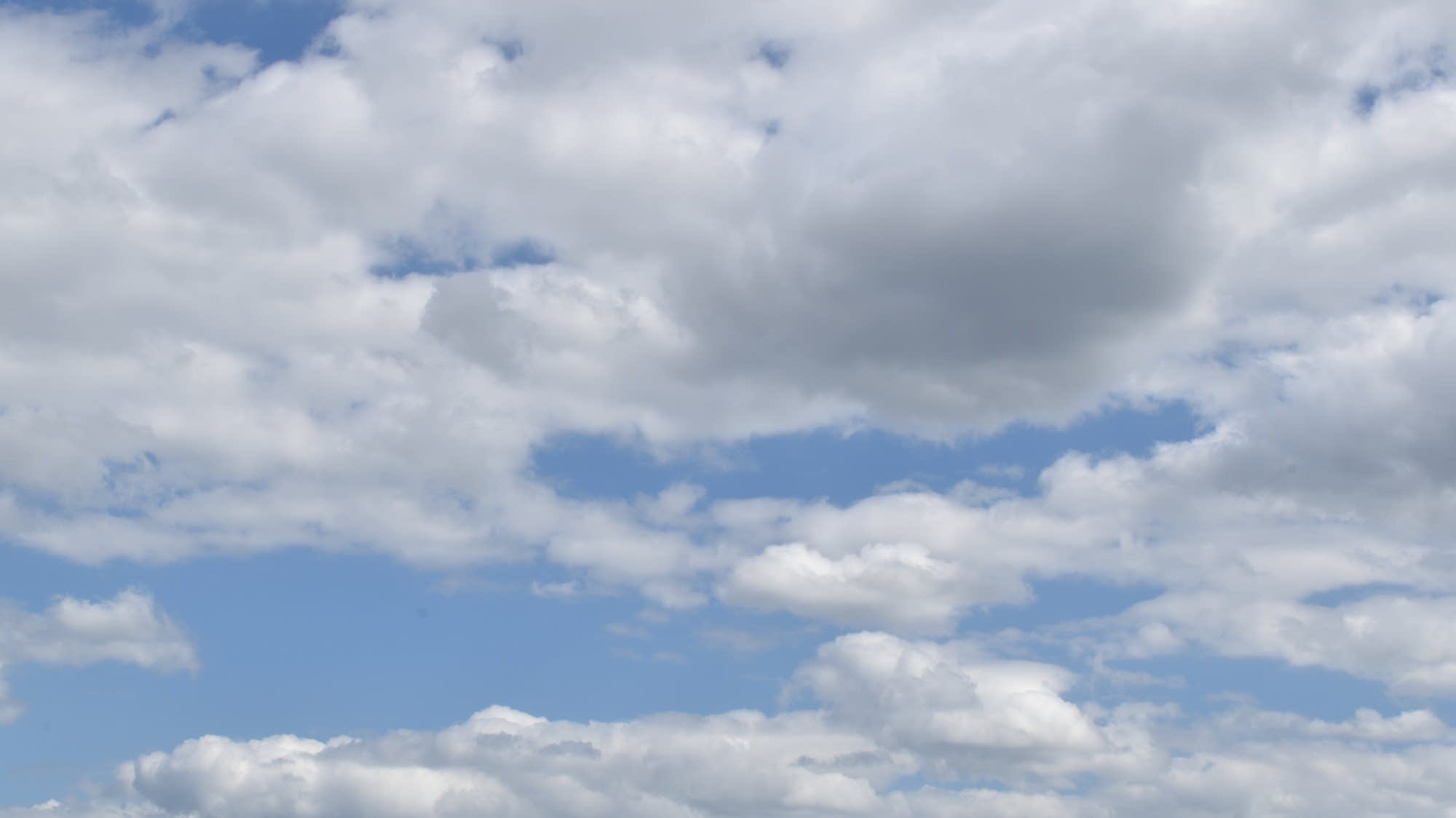 Chilly Sunday temps; hard freeze Sunday night | MPR News