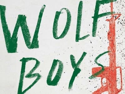 'Wolf Boys': The American teenagers turned cartel assassins | MPR News