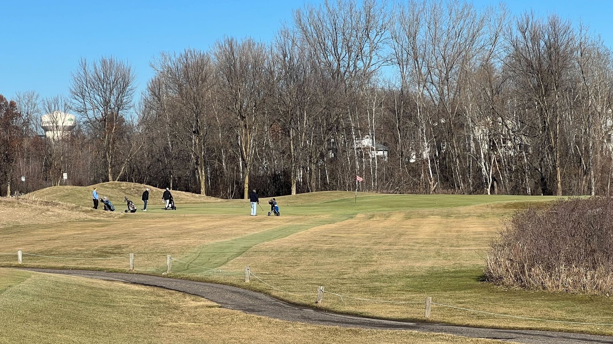Mayo Clinic research looks at golf courses and Parkinson’s disease risk ...
